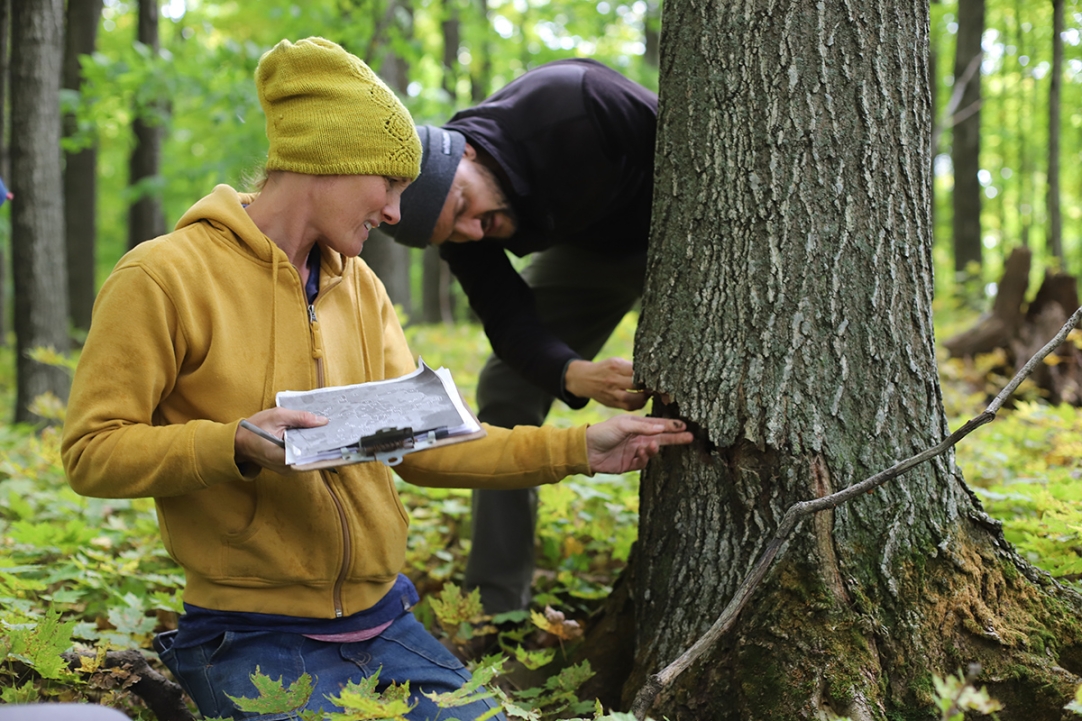 Forest as a Classroom | Shelburne Farms